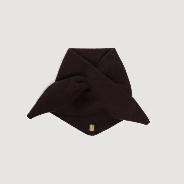 Sandro Wool And Cashmere Scarf - Brown