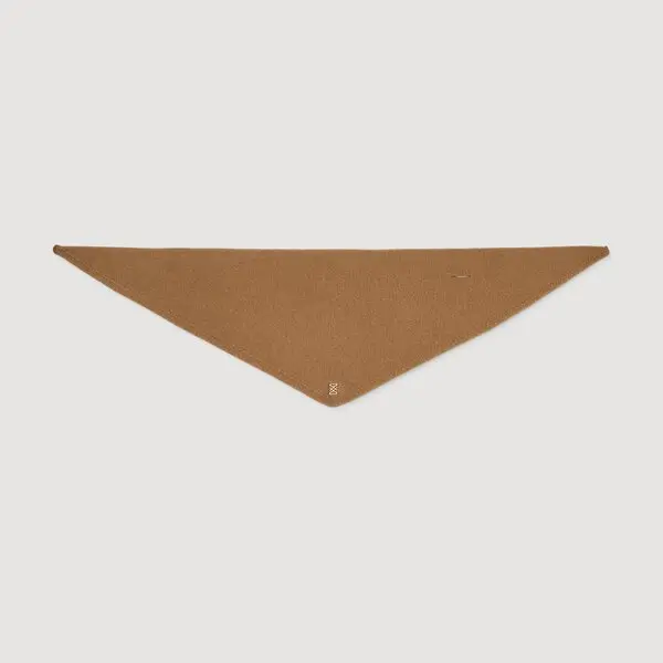 Sandro Wool And Cashmere Scarf - Light Brown