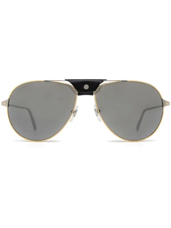 CARTIER Ct0038s Sunglasses - Metallic