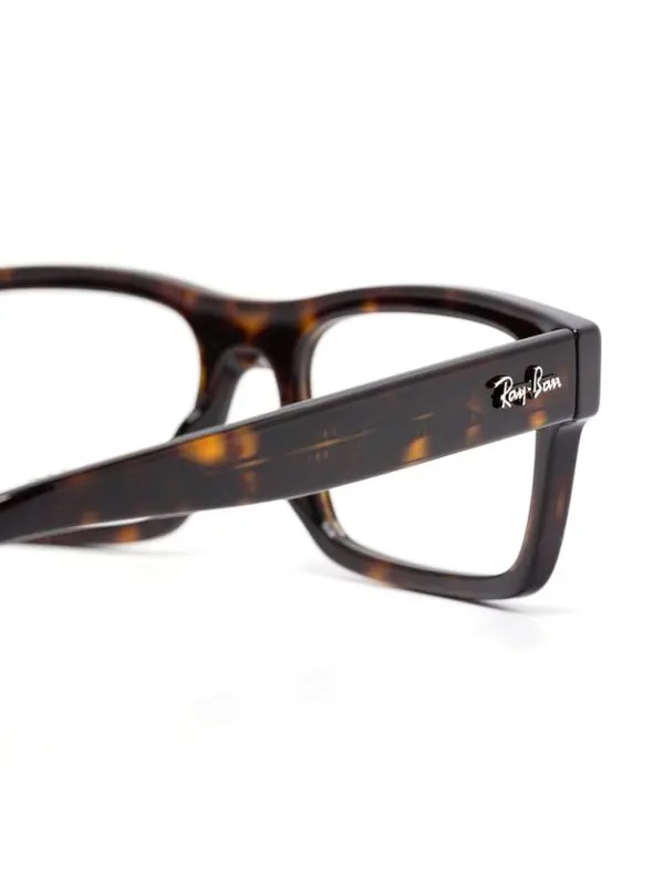 Ray-ban Glasses