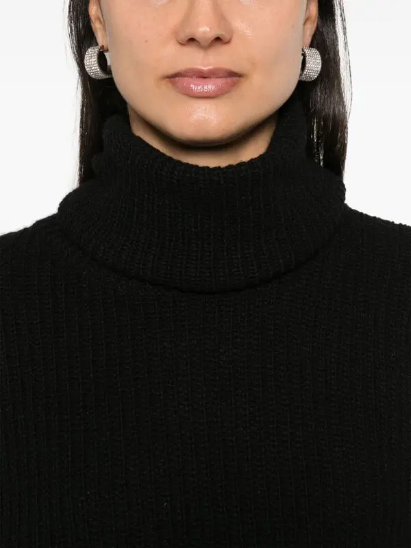Pinko Vigne Sweater