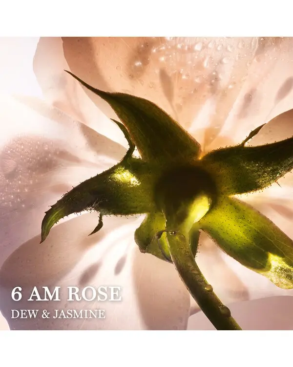 LANCOME Absolue 6 Am Rose Eau De Parfum 3.4 Oz - No Color
