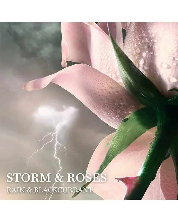 LANCOME Absolue Storm & Roses Eau De Parfum 3.4 Oz - No Color