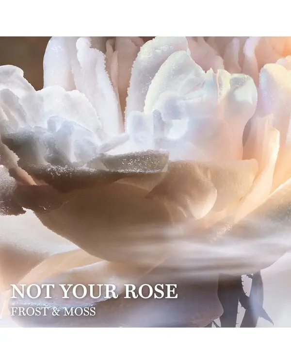 LANCOME Absolue Not Your Rose Eau De Parfum 3.4 Oz - No Color