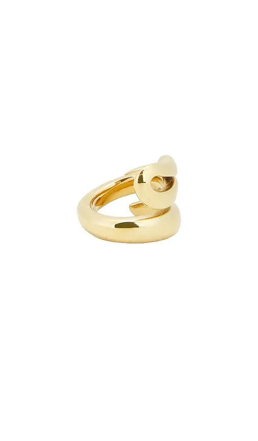 Jenny Bird Sees Ring