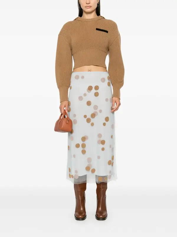 Fendi Embroidered Midi Skirt - Clear Blue