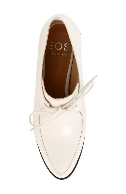 Eos Casi Derby - Bone Patent