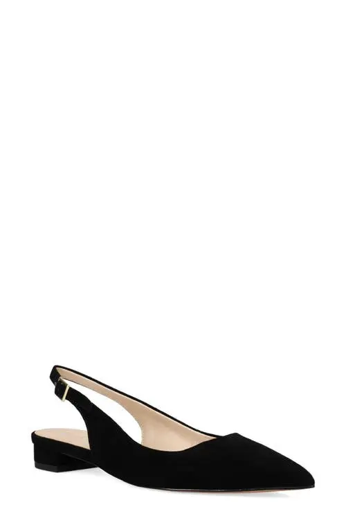 Pelle Moda Aali Pointed Toe Slingback Flat - Black