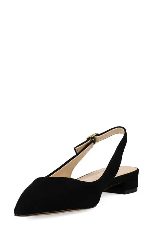 Pelle Moda Aali Pointed Toe Slingback Flat - Black