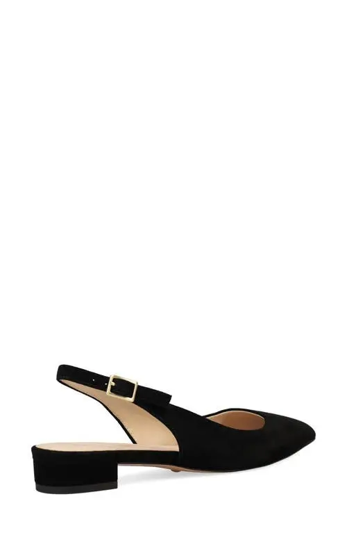 Pelle Moda Aali Pointed Toe Slingback Flat - Black
