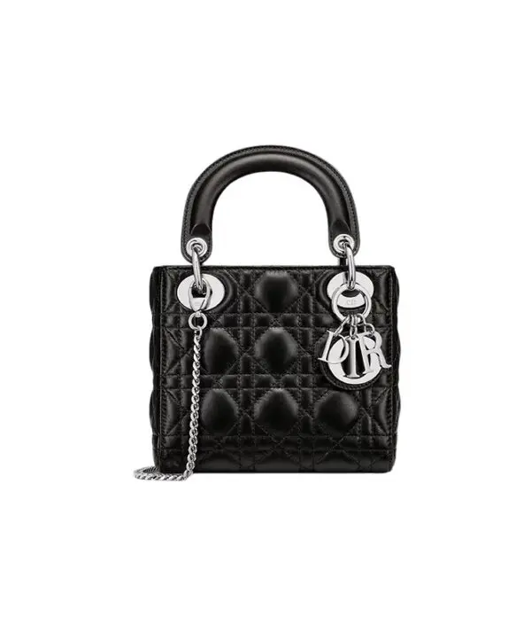 Dior Lady Bag