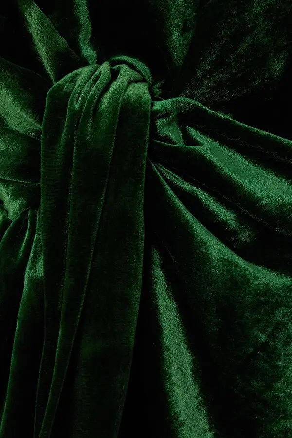 Petar Petrov The Dusk Draped Velvet Maxi Dress - Women - Forest Green Dresses - FR 34