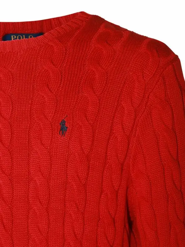 Polo Ralph Lauren Driver Sweater
