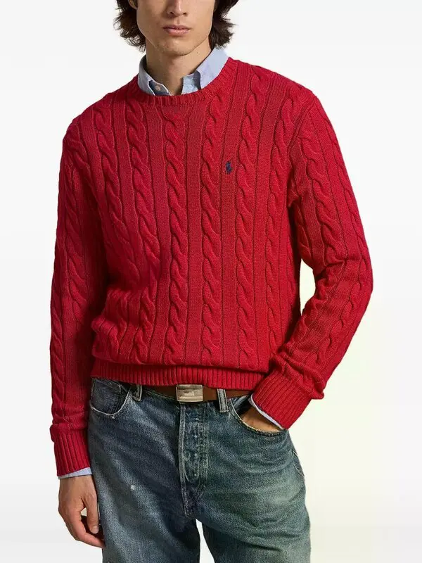 Polo Ralph Lauren Driver Sweater
