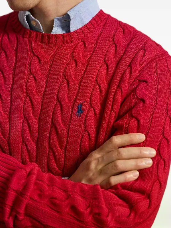 Polo Ralph Lauren Driver Sweater