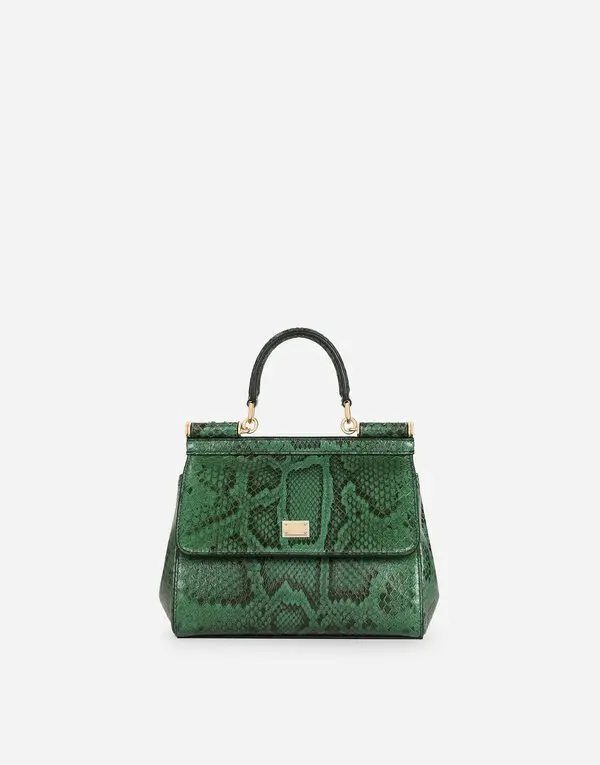 Dolce & Gabbana Medium Sicily Handbag - Green