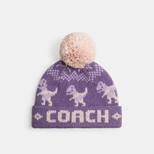 Coach Rexy Fair Isle Print Beanie - Violet Multi | Editorialist display picture 1