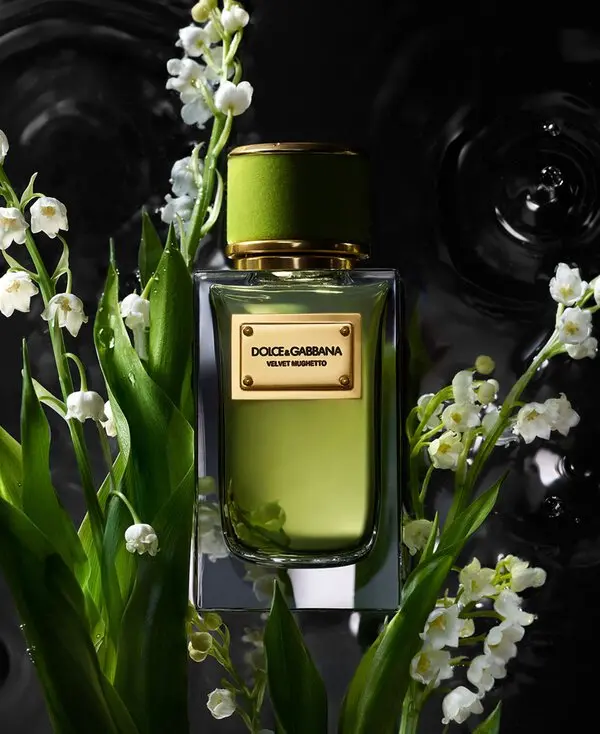 Dolce & Gabbana Velvet Mughetto Eau De Parfum - No Color