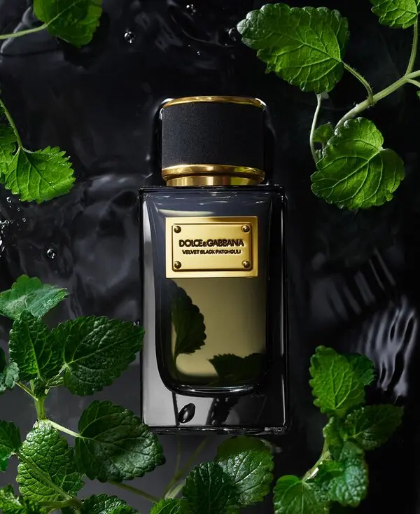 Dolce & Gabbana Velvet Black Patchouli Eau De Parfum - No Color