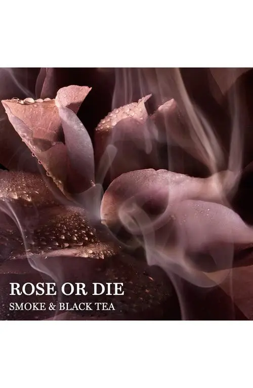 LANCOME Absolue Rose Or Die Eau De Parfum - No Color