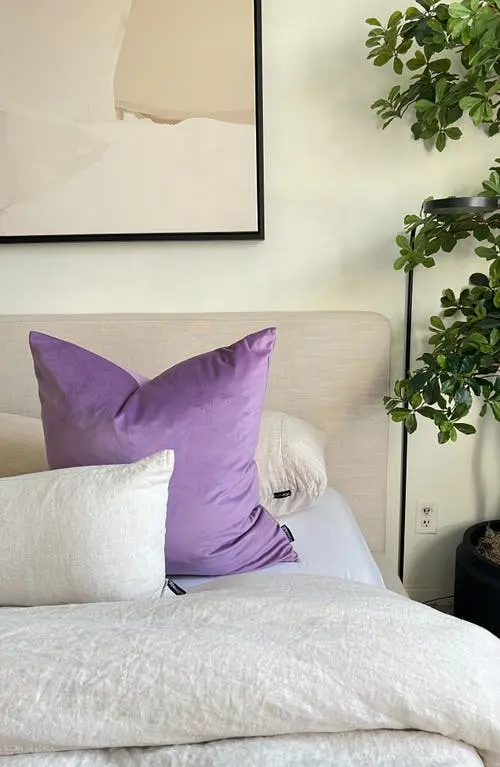 MODISH DECOR PILLOWS Velvet Pillow Cover