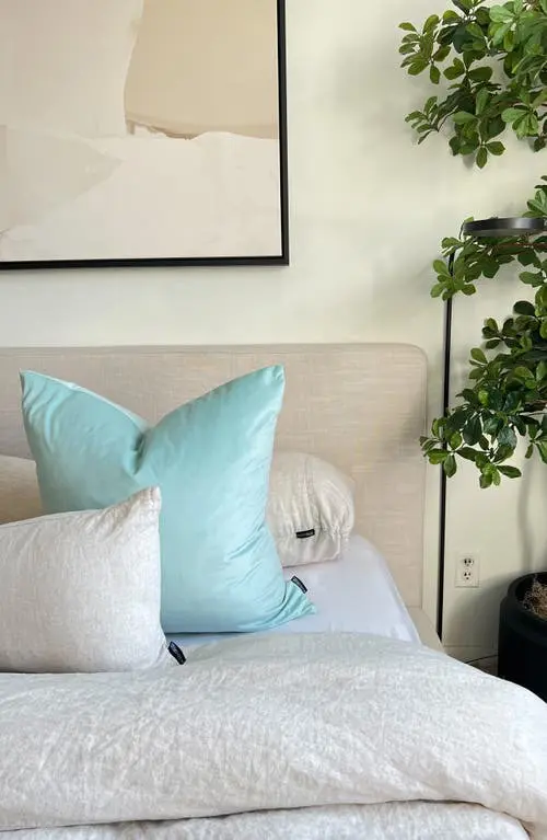 MODISH DECOR PILLOWS Velvet Pillow Cover
