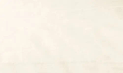 COYUCHI 300 Thread Count Organic Cotton Percale Pillowcases - Undyed