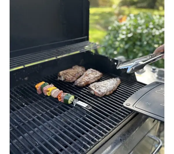 OUTSET Stainless Steel Slider Skewers