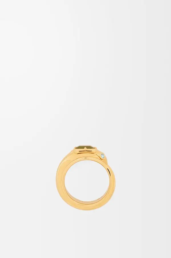 Loewe Snake Ring - Gold/black