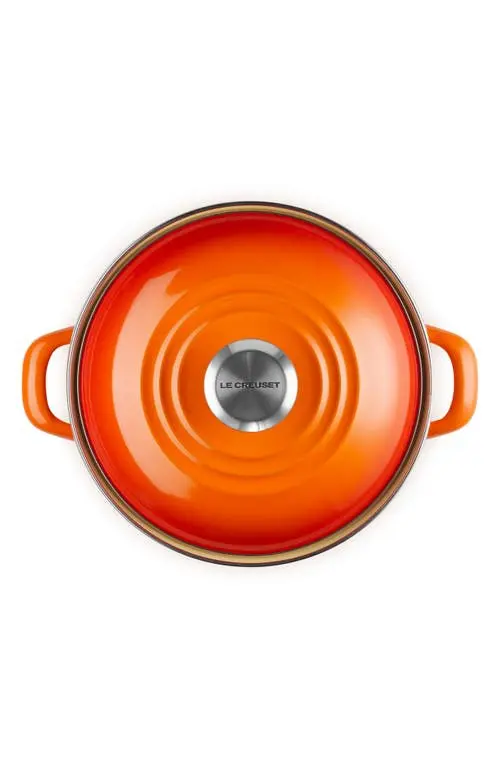 LE CREUSET Enameled Stainless Steel Petite Stock Pot - Flame