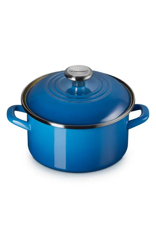 LE CREUSET Enameled Stainless Steel Petite Stock Pot - Marseille