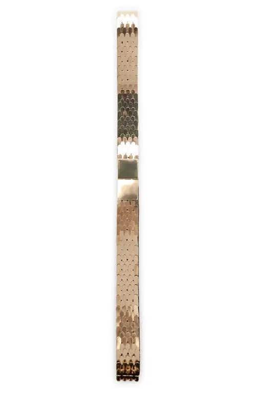 Mango Metal Scale Belt