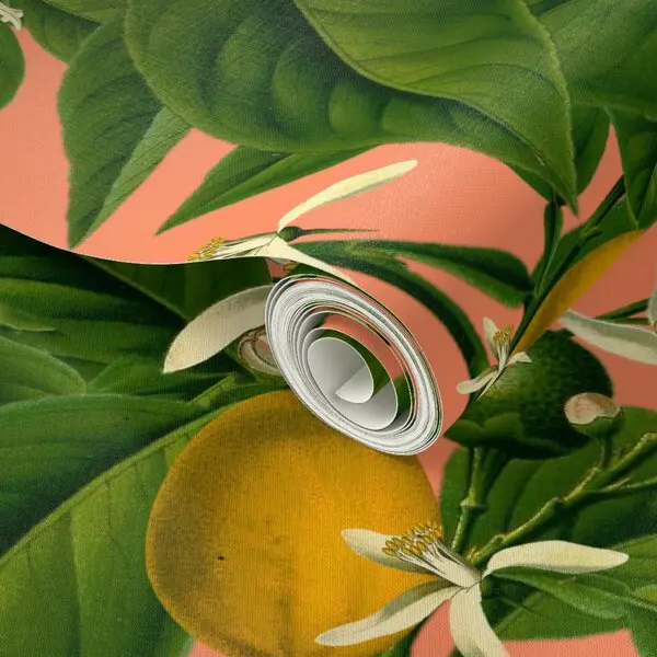 Spoonflower Lemon Botanical Kiss Citrus Fruit Leaves Custom Removable Wallpaper - Pink,green