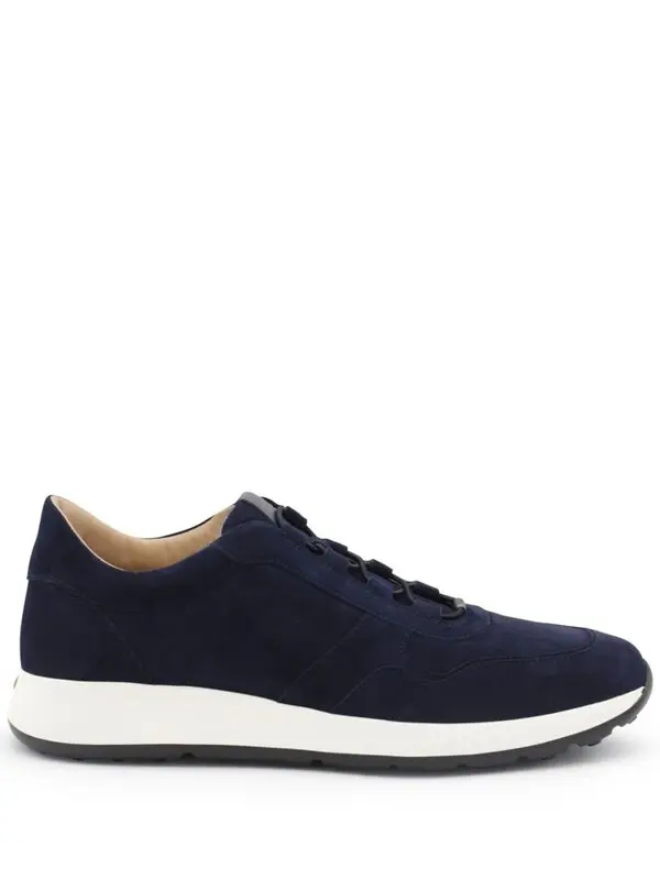 TOD'S Low-top Sneakers - Blue