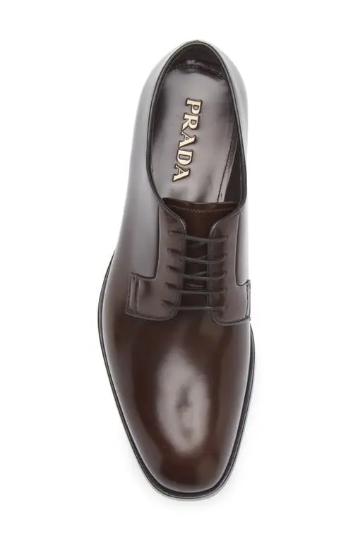 Prada Formale Spazzolato Plain Toe Derby - Bruciato