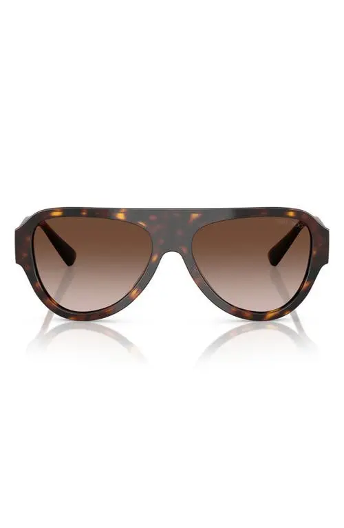 JIMMY CHOO 55mm Pilot Sunglasses - Havana