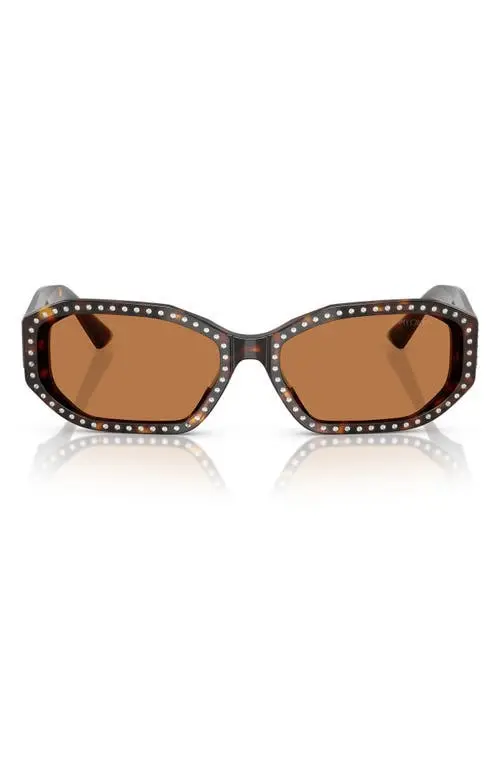 JIMMY CHOO 56mm Oval Sunglasses - Brown