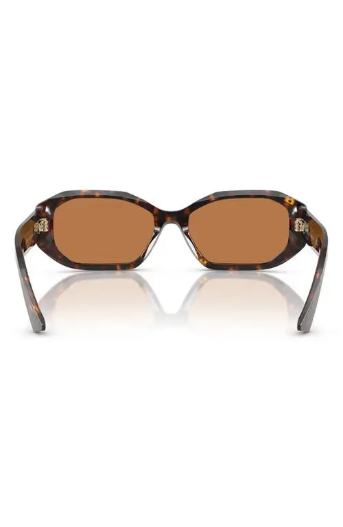 JIMMY CHOO 56mm Oval Sunglasses
