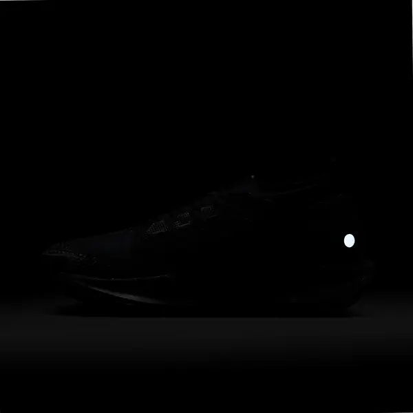 Nike Pegasus Trail Gore-tex Waterproof Trail Running Shoes - Black