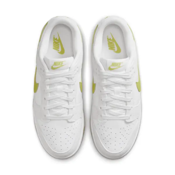 Nike Dunk Low Top Sneakers