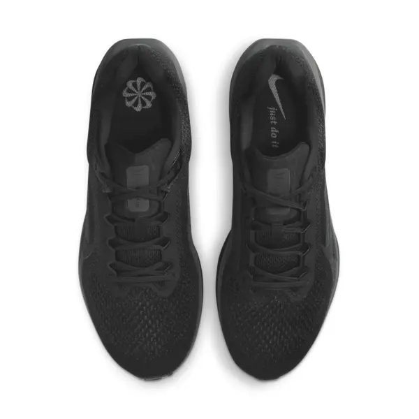 Nike Winflo Road Running Shoes - Black