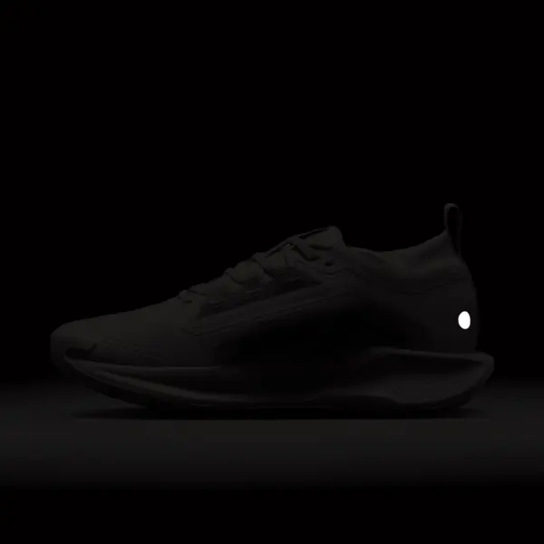 Nike Pegasus Trail Gore-tex Waterproof Trail Running Shoes