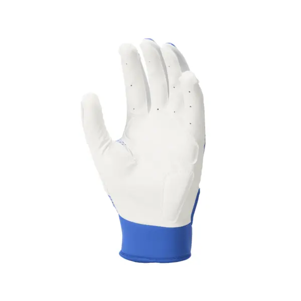 Nike Hyperdiamond Softball Gloves - Blue