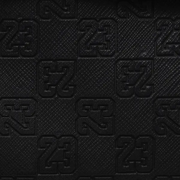 JORDAN Monogram Camera Bag
