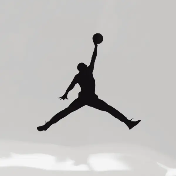 JORDAN Stadium Bag Clear