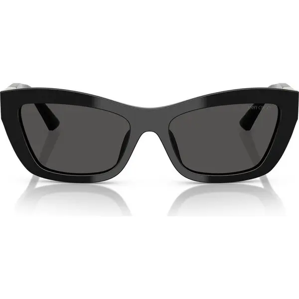 JIMMY CHOO 54mm Cat Eye Sunglasses - Black