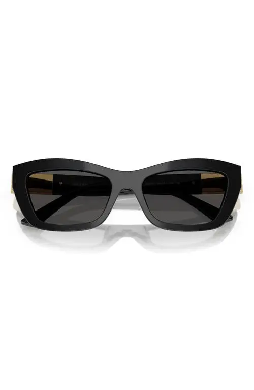 JIMMY CHOO 54mm Cat Eye Sunglasses