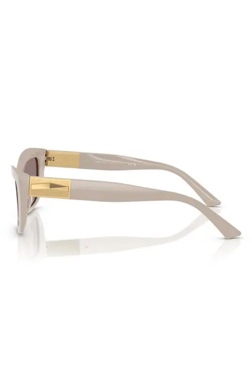 JIMMY CHOO 54mm Cat Eye Sunglasses - Brown