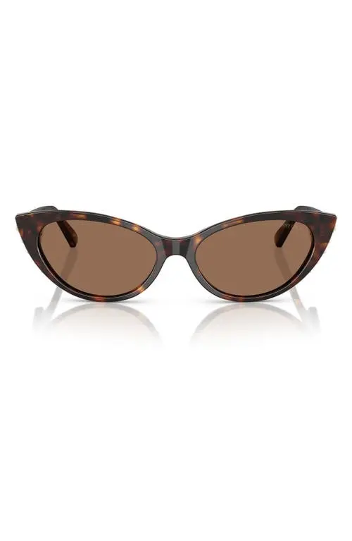 JIMMY CHOO 55mm Cat Eye Sunglasses - Havana