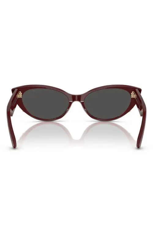 JIMMY CHOO 55mm Cat Eye Sunglasses - Red